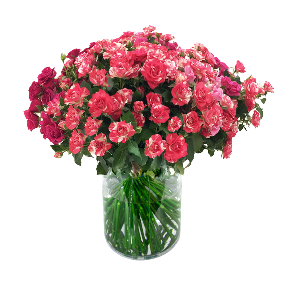 BABY ROSES ARRANGEMENT