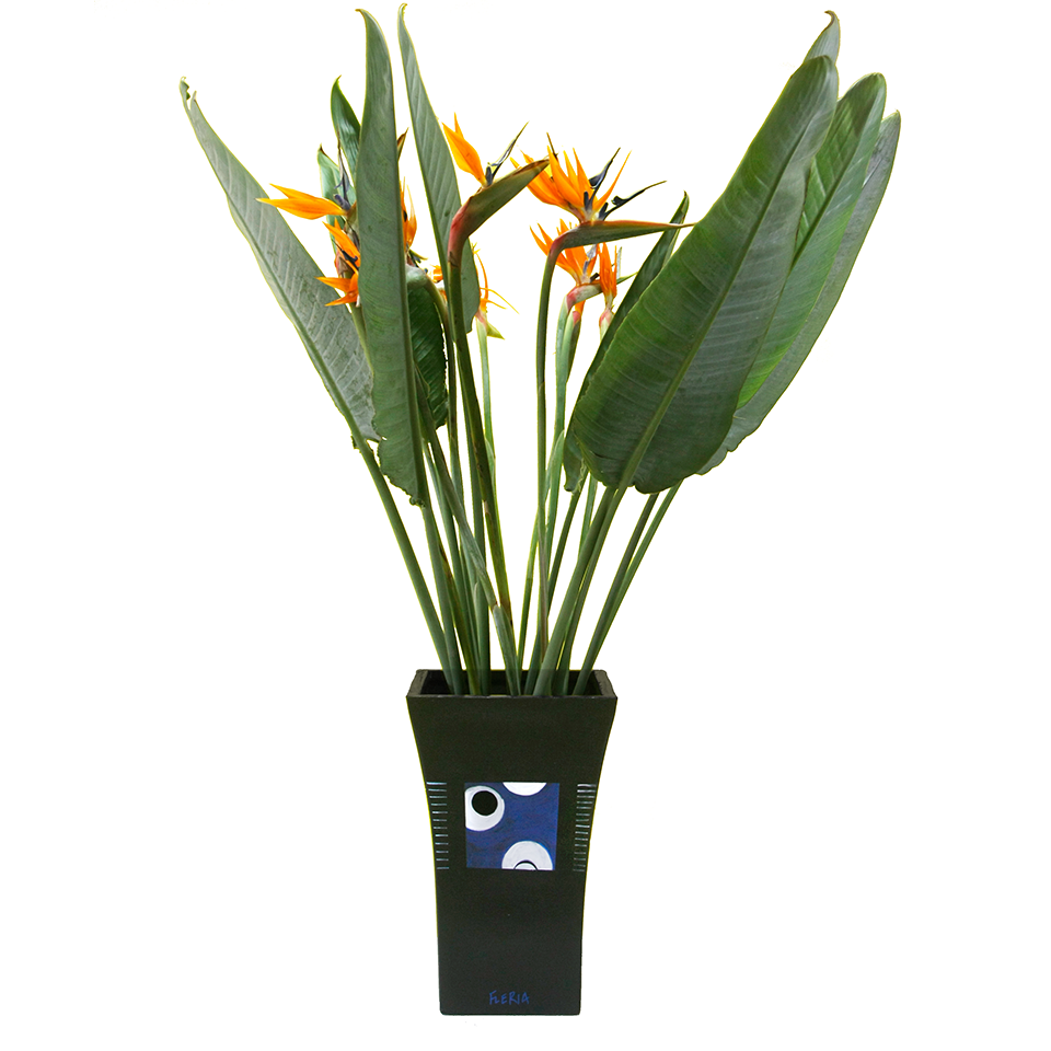 STRELITZIA LEAVES AND FLOWERS ARRANGEMENT - Fleria